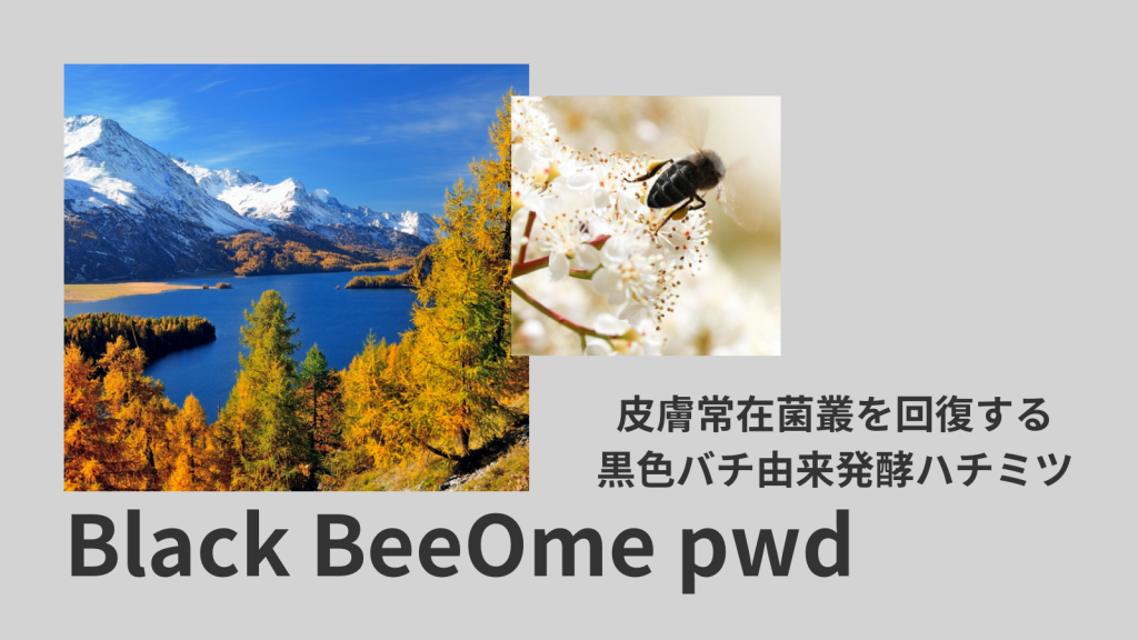 Black BeeOme pwd（ブラック ビーオム パウダー） - Tribeaute(トライボーテ)