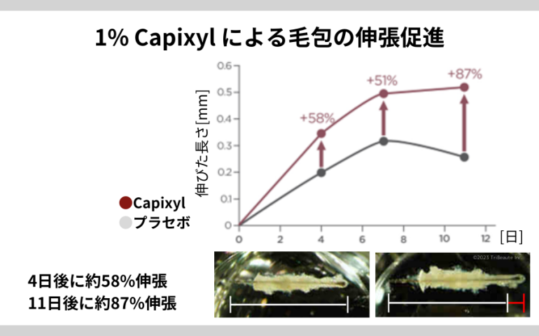 Capixyl（キャピキシル） - Tribeaute(トライボーテ)