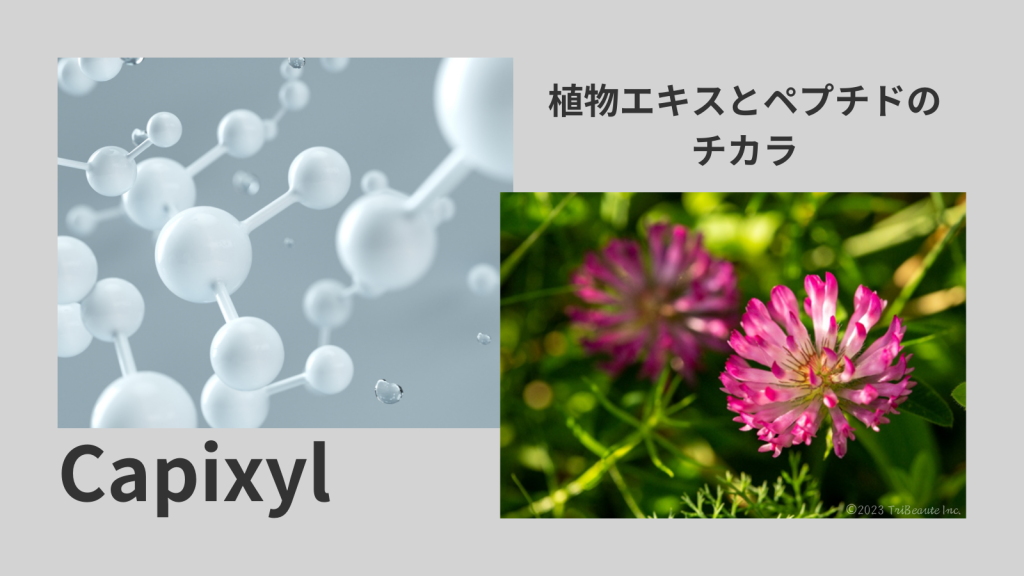 Capixyl（キャピキシル） - Tribeaute(トライボーテ)