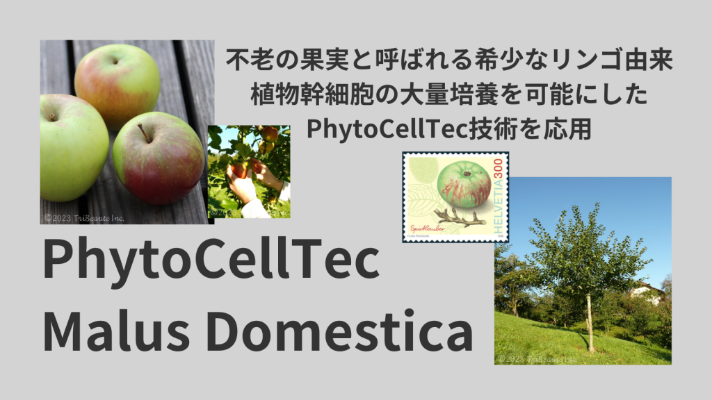PhytoCellTec Malus Domestica（フィトセルテック マルス ドメスティカ） - Tribeaute(トライボーテ)