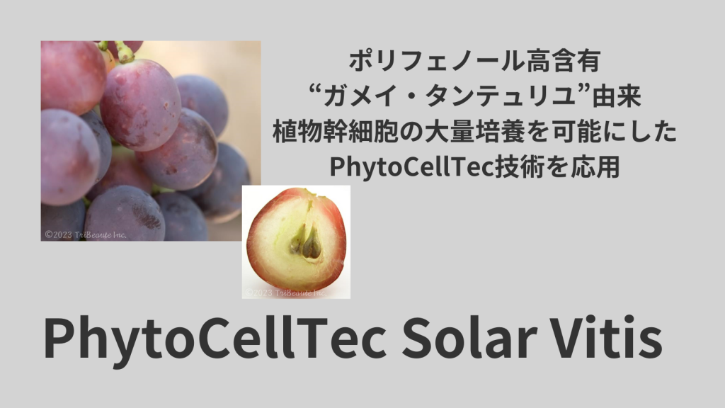 PhytoCellTec Solar Vitis（フィトセルテック ソーラー ビティス） - Tribeaute(トライボーテ)