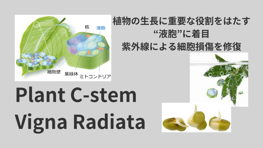 Plant C-Stem Vigna Radiata（プラントシー-ステム ビーナ ラジアータ） - Tribeaute(トライボーテ)