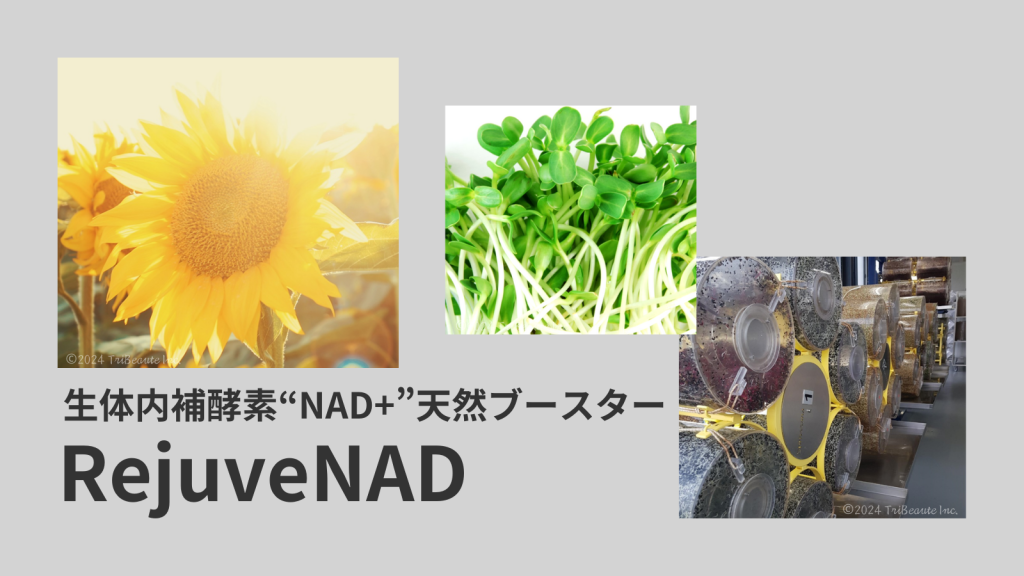 RejuveNAD（リジュブネイド） - Tribeaute(トライボーテ)