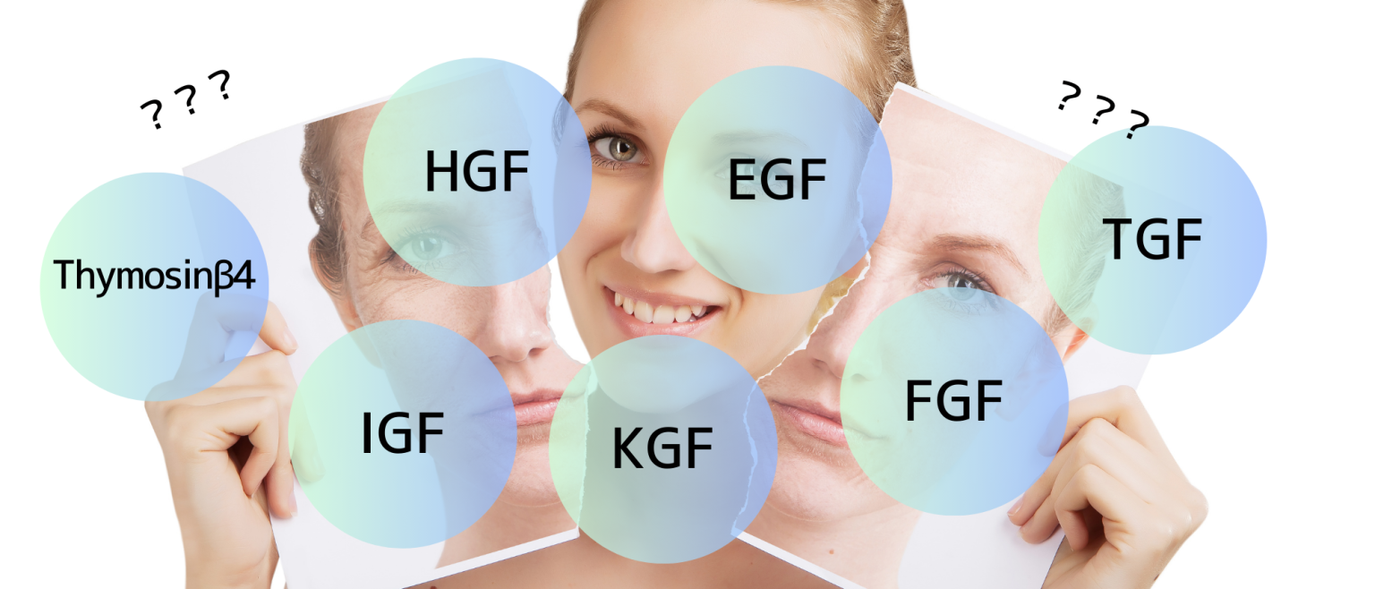 成長因子様ペプチドのご紹介 - Tribeaute(トライボーテ)