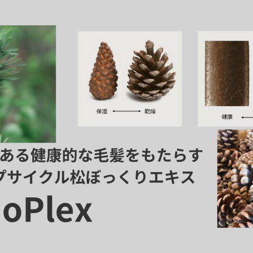 【レポート】2024年COSME WEEK東京（化粧品開発展）の展示内容からみる注目を集めていたトレンド - Tribeaute(トライボーテ)