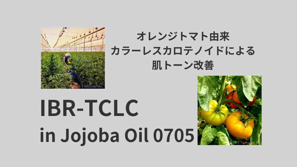 IBR-TCLC in Jojoba Oil 0705（アイビーアール-ティーシーエルシー） - Tribeaute(トライボーテ)