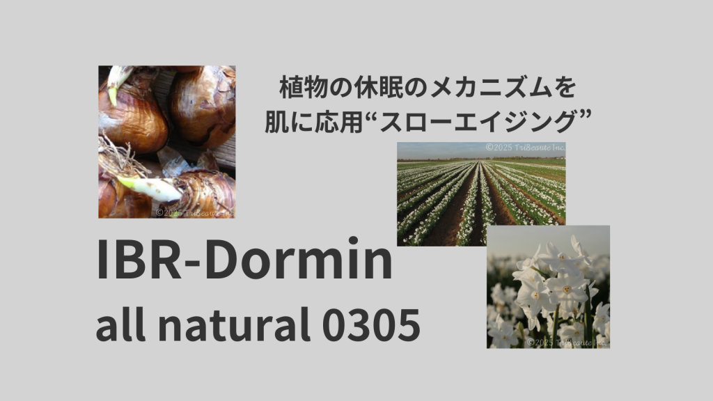 IBR-Dormin all natural 0305（アイビーアール-ドーミン） - Tribeaute(トライボーテ)