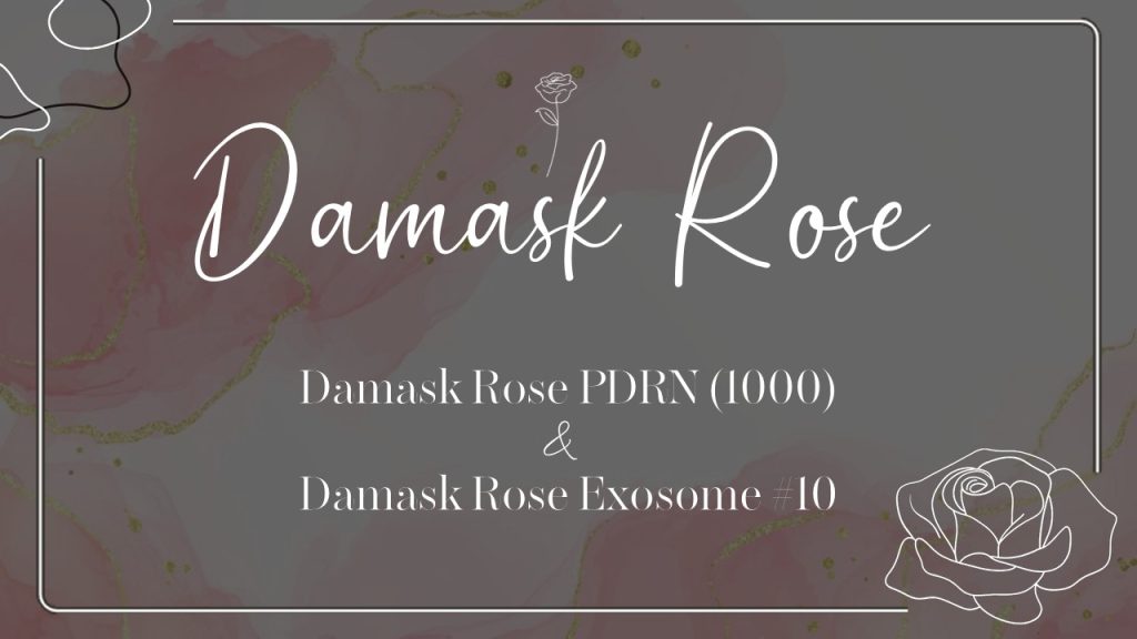 ダマスクローズ由来のトレンド原料：PDRNとエクソソームの販売を開始 - Tribeaute(トライボーテ)