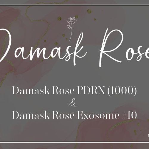 In-Cosmetics global 2025/2025年 4月8-10日 - Tribeaute(トライボーテ)