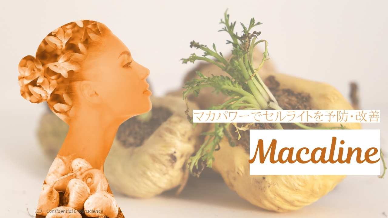 Macaline（マカライン） - Tribeaute(トライボーテ)